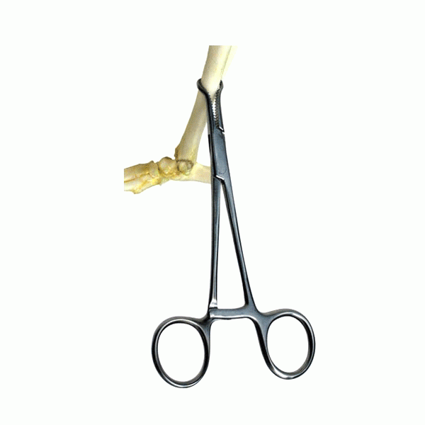 Bone Holding Forceps X-Small | GerMedUSA Inc