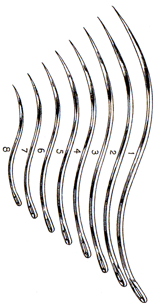 Double curved Heavy Pattern | GerMedUSA Inc.
